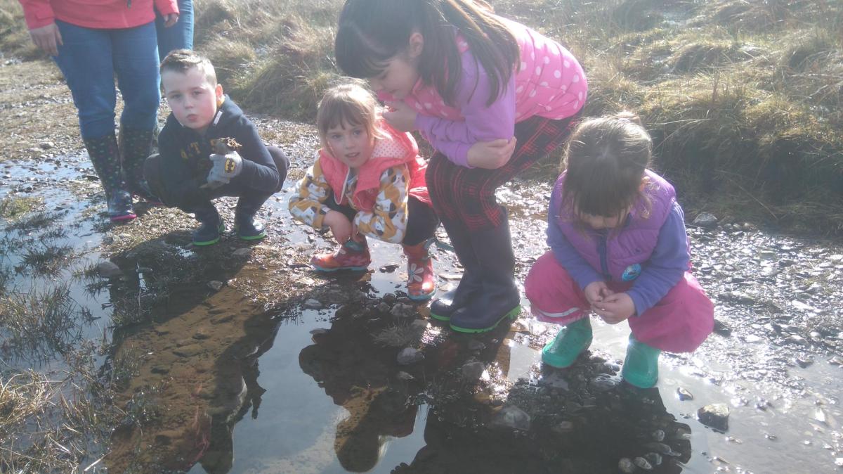 Wet Sleddale, south of Shap – Family Walks and Pubs in the Lake District