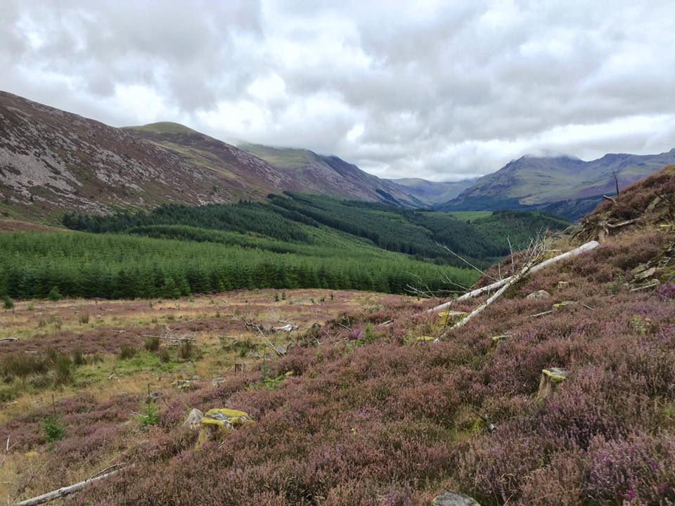 Bowness Knott & Smithy Beck, Ennerdale Water – Family Walks and Pubs in ...