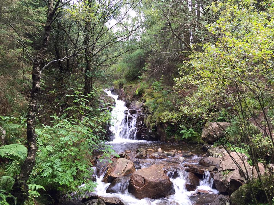 Bowness Knott & Smithy Beck, Ennerdale Water – Family Walks and Pubs in ...