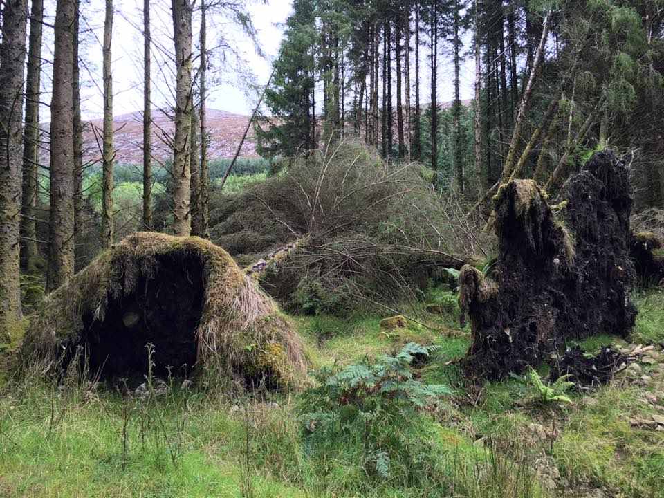 Bowness Knott & Smithy Beck, Ennerdale Water – Family Walks and Pubs in ...