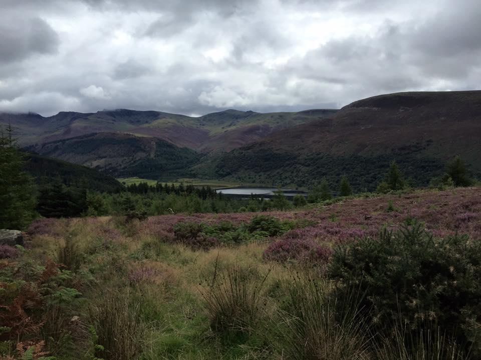 Bowness Knott & Smithy Beck, Ennerdale Water – Family Walks and Pubs in ...