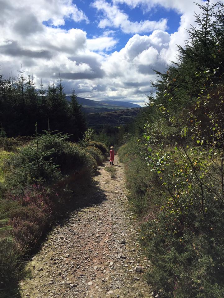 Irton Pike, near Santon Bridge – Family Walks and Pubs in the Lake District
