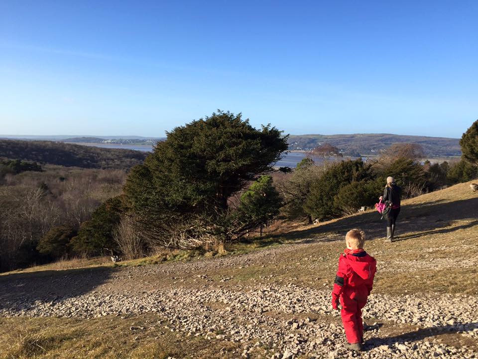 Arnside Knott – Family Walks and Pubs in the Lake District
