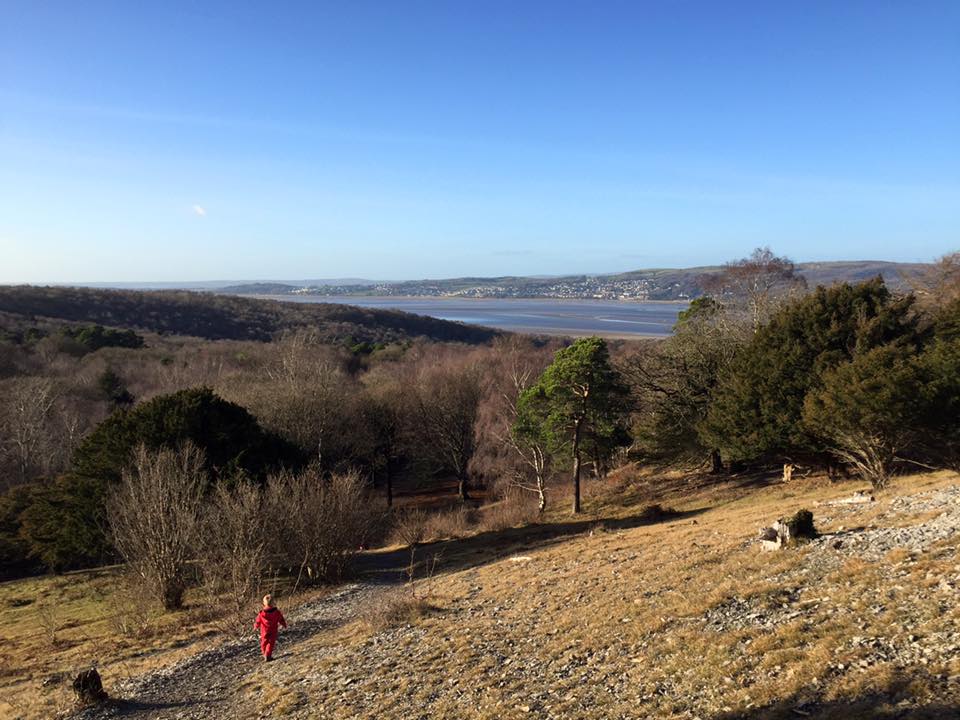 Arnside Knott – Family Walks and Pubs in the Lake District