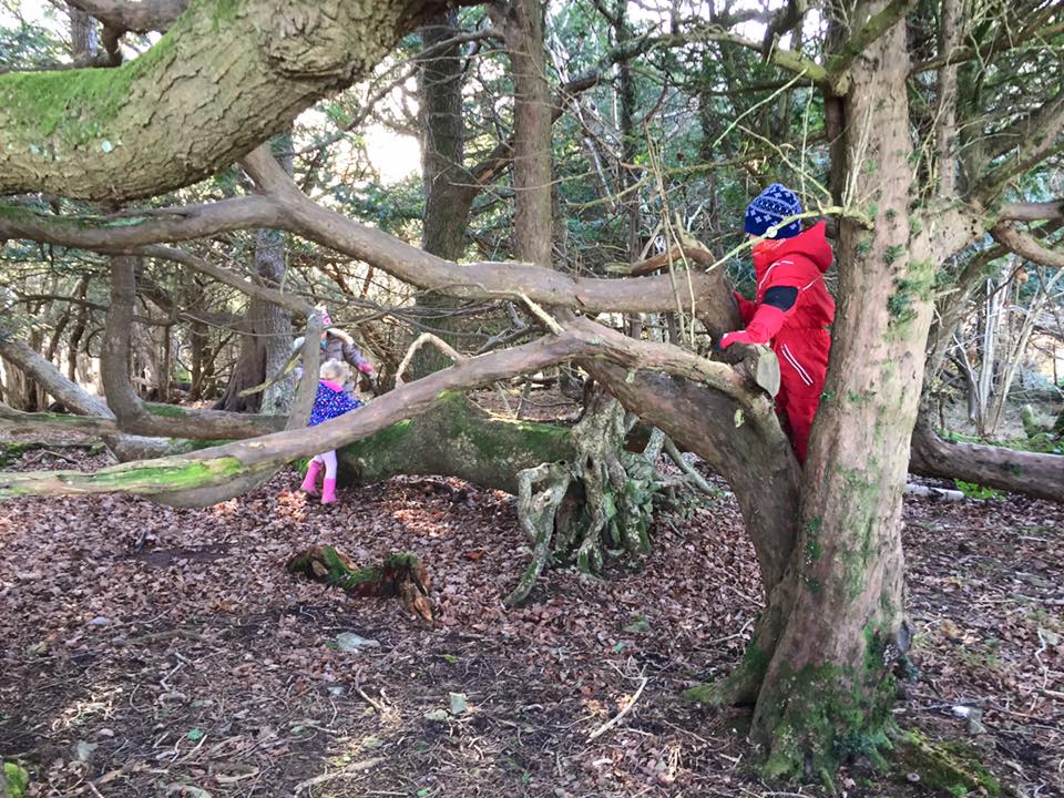 Arnside Knott – Family Walks and Pubs in the Lake District