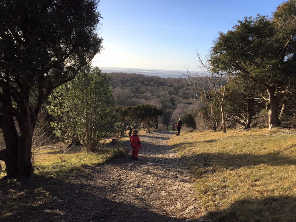 Arnside Knott – Family Walks and Pubs in the Lake District