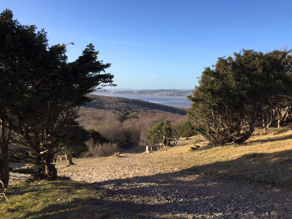 Arnside Knott – Family Walks and Pubs in the Lake District