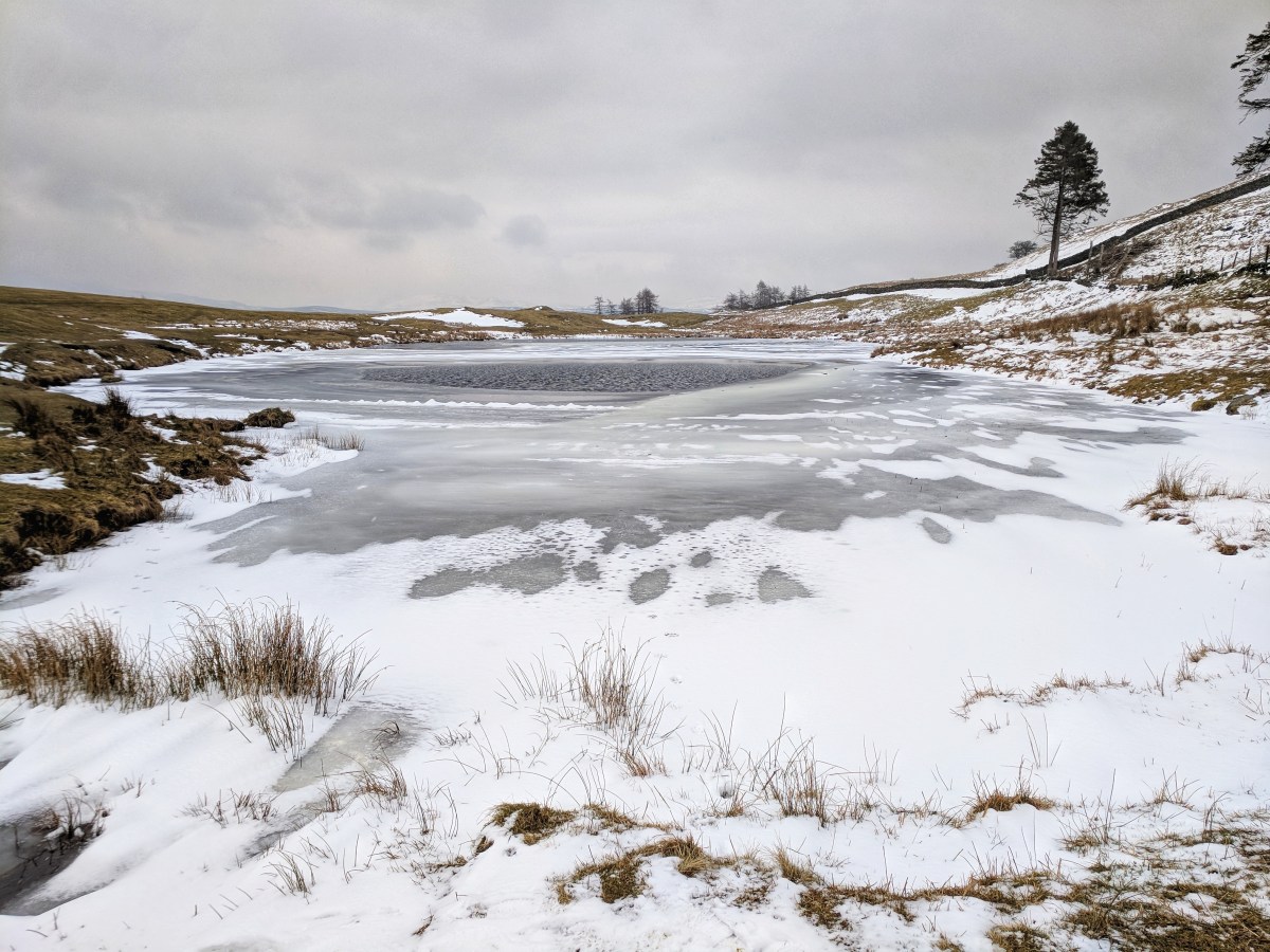 School Knott, Windermere – Family Walks and Pubs in the Lake District